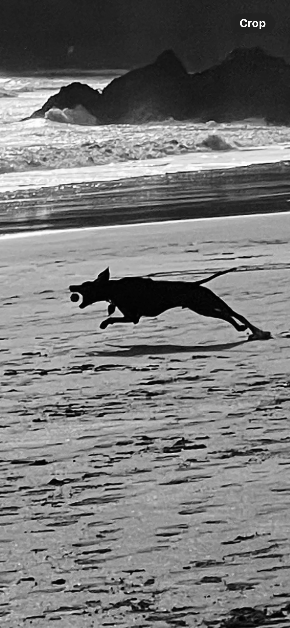 Jenny Matthias | The Independent Photographer