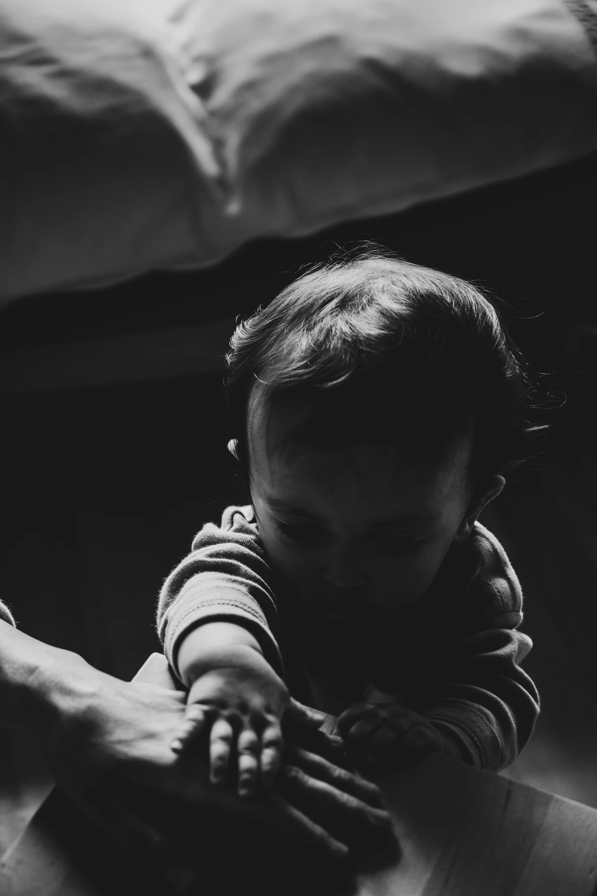 Alex Lobo | The Independent Photographer