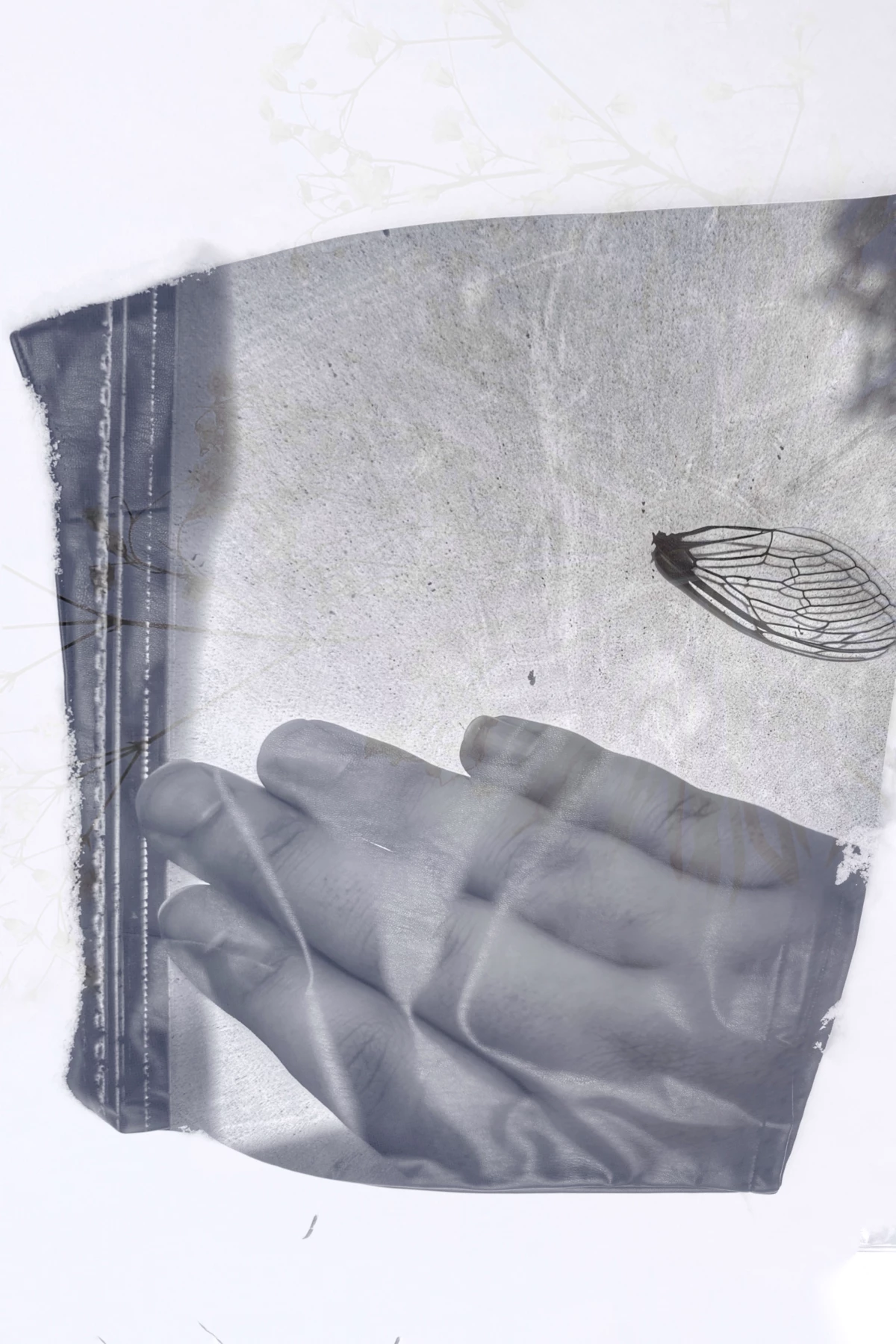 Tonya Russell | The Independent Photographer