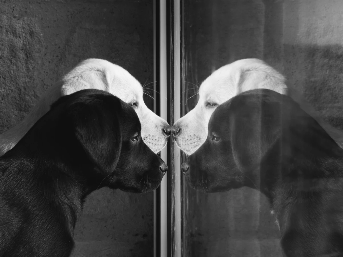 Mario Walker | The Independent Photographer