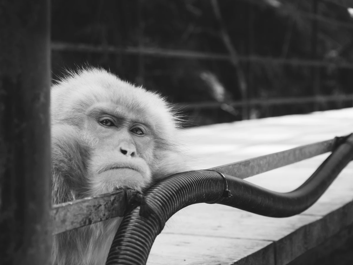 Mario Walker | The Independent Photographer