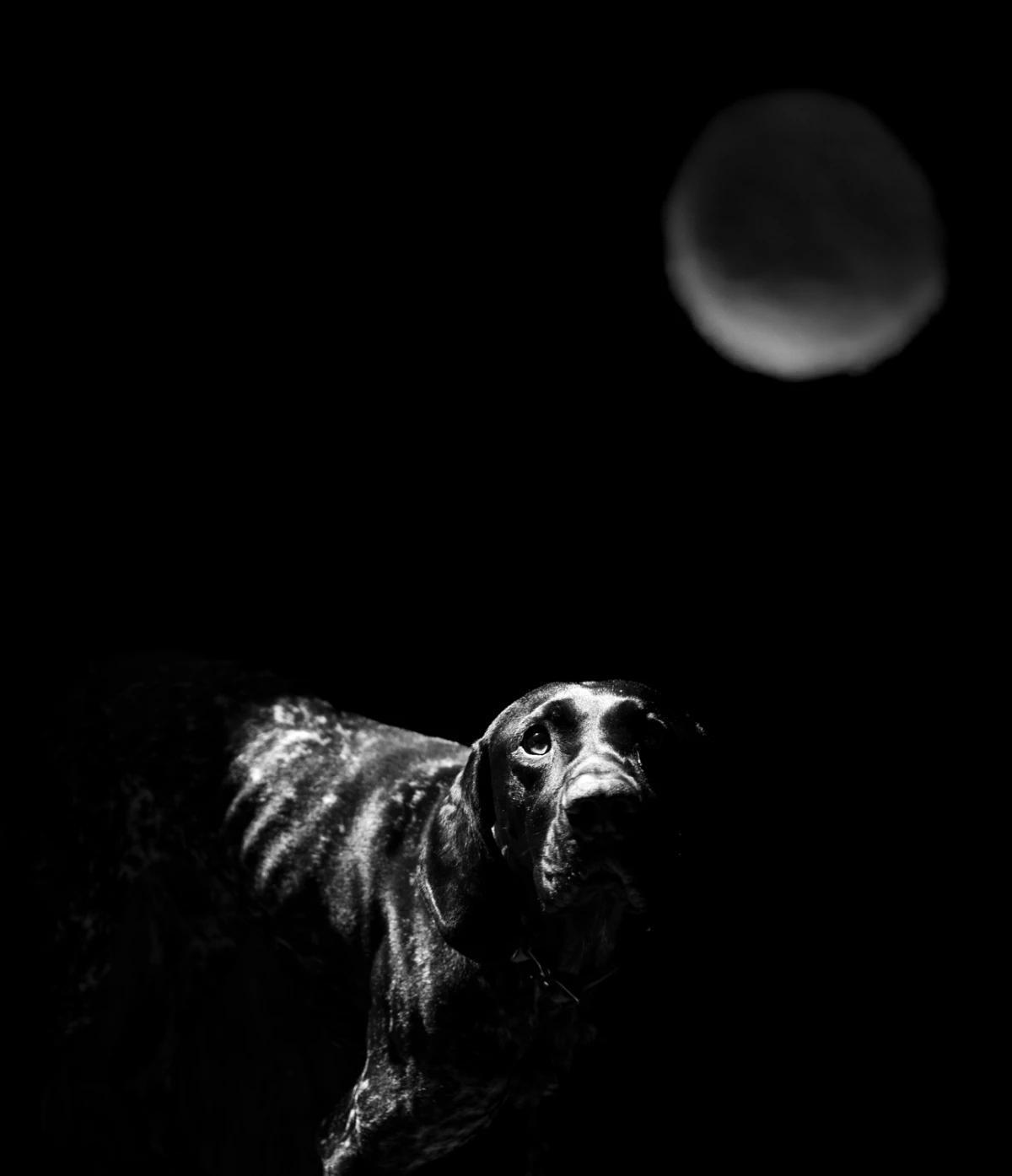 Jessie Bauer | The Independent Photographer