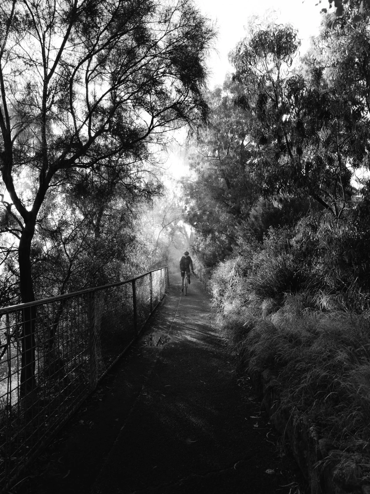 Raed Albanna | The Independent Photographer