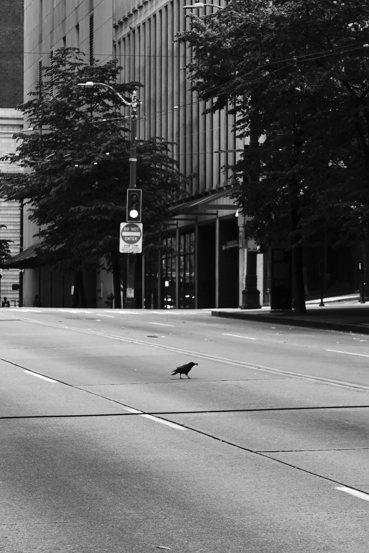 Henry Lin | The Independent Photographer