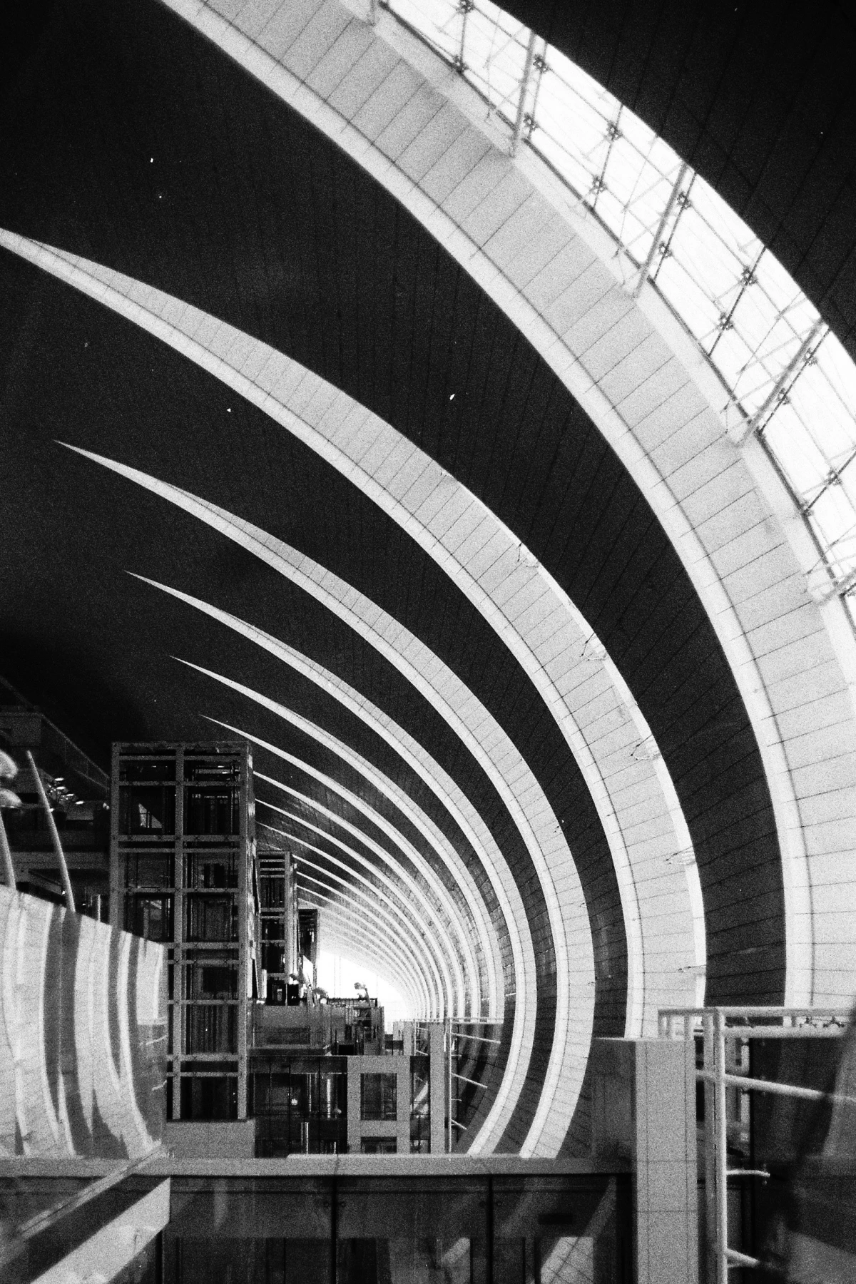 Henry Lin | The Independent Photographer