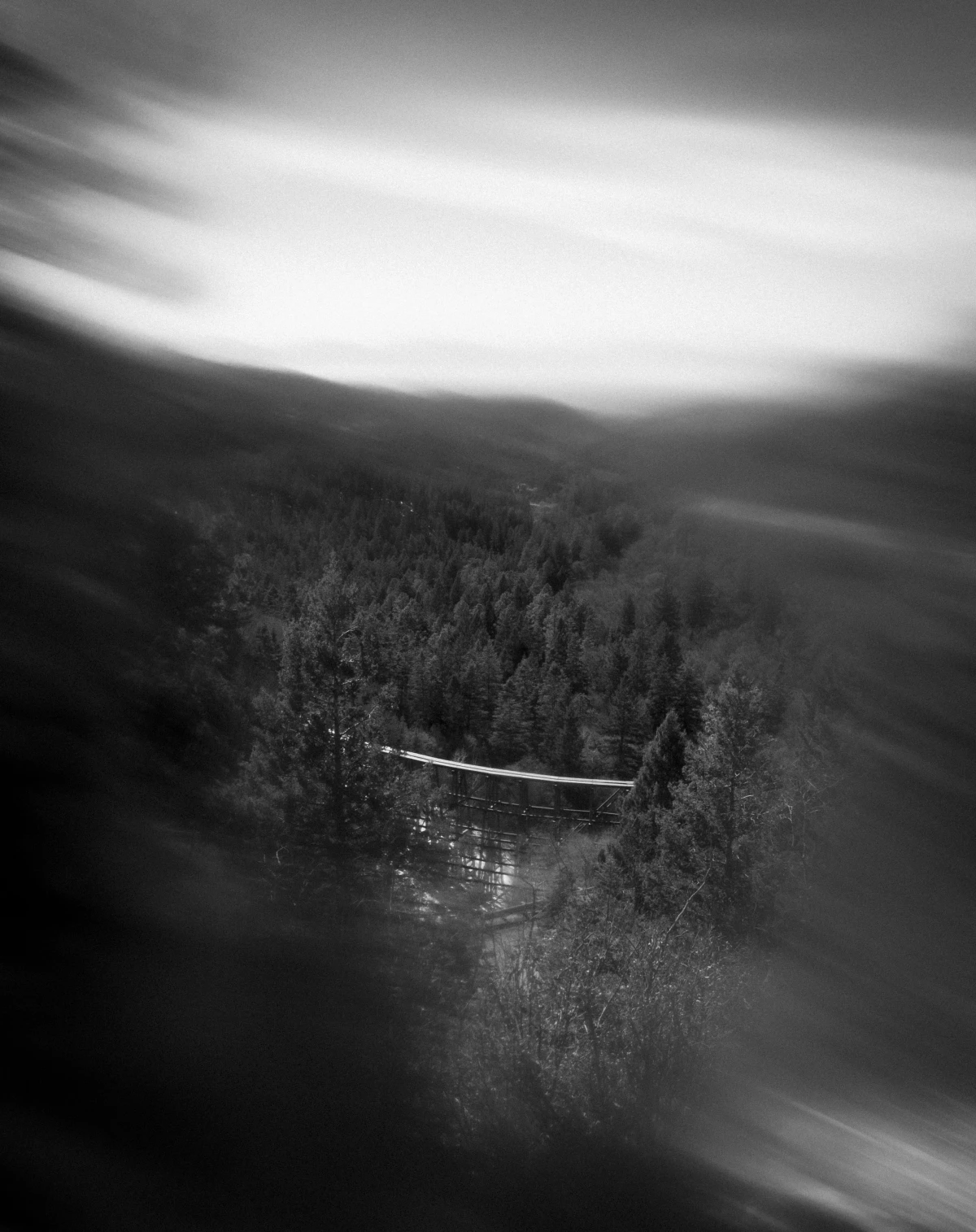 L Paleka | The Independent Photographer