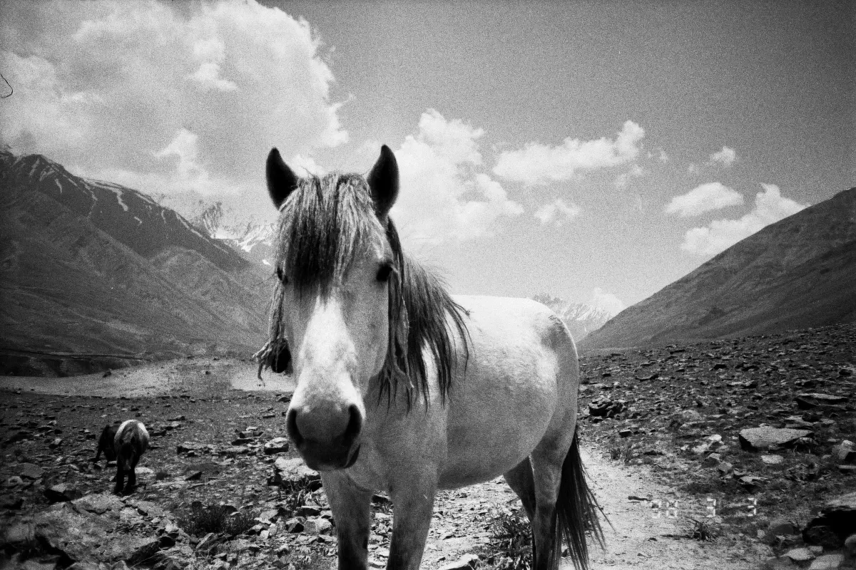 Martina Ferraro | The Independent Photographer