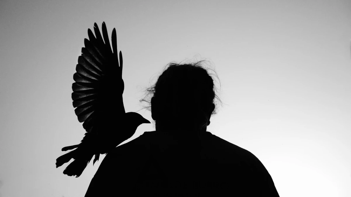 Caitlin Long | The Independent Photographer