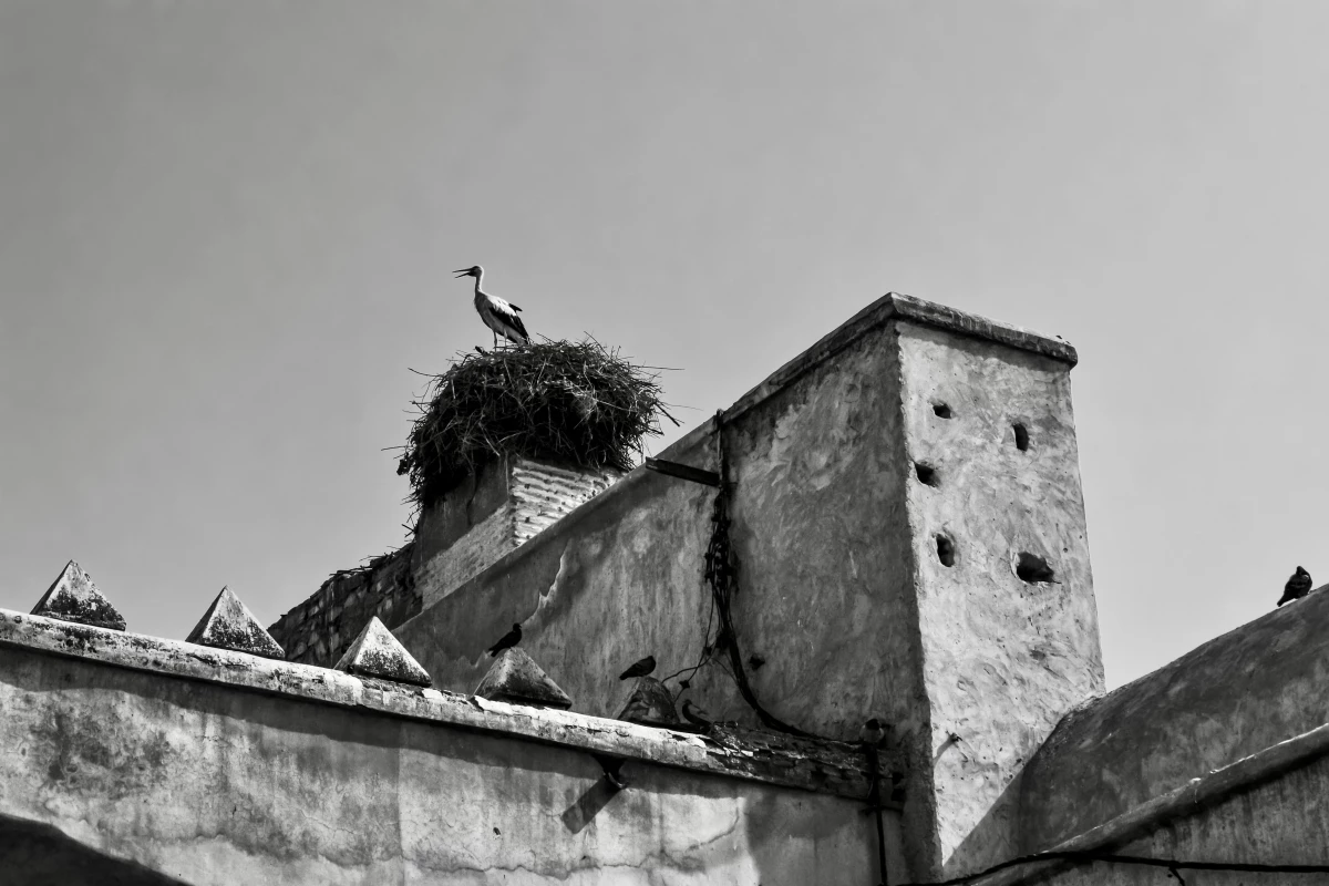 Caitlin Long | The Independent Photographer