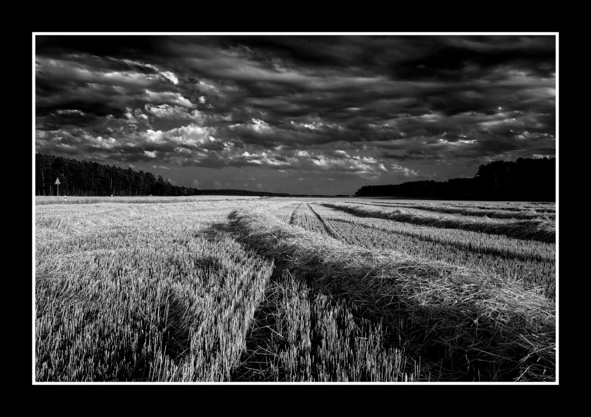 Martin Sura | The Independent Photographer