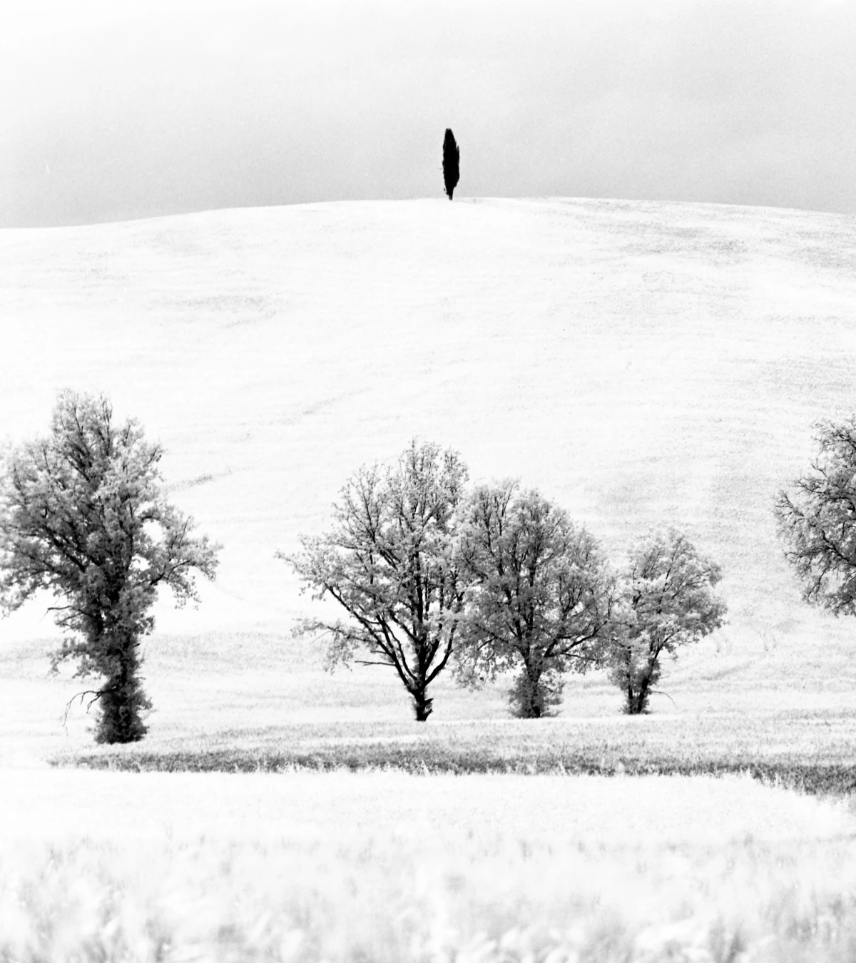 Marcello Colombo | The Independent Photographer