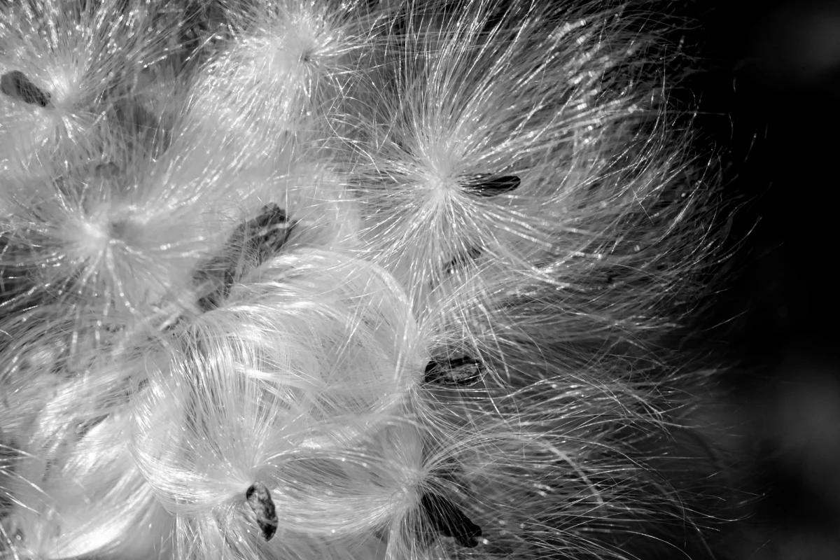 Gary Friedlander | The Independent Photographer