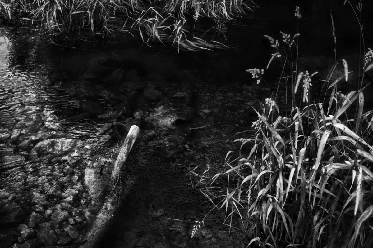 Tim Hoover | The Independent Photographer