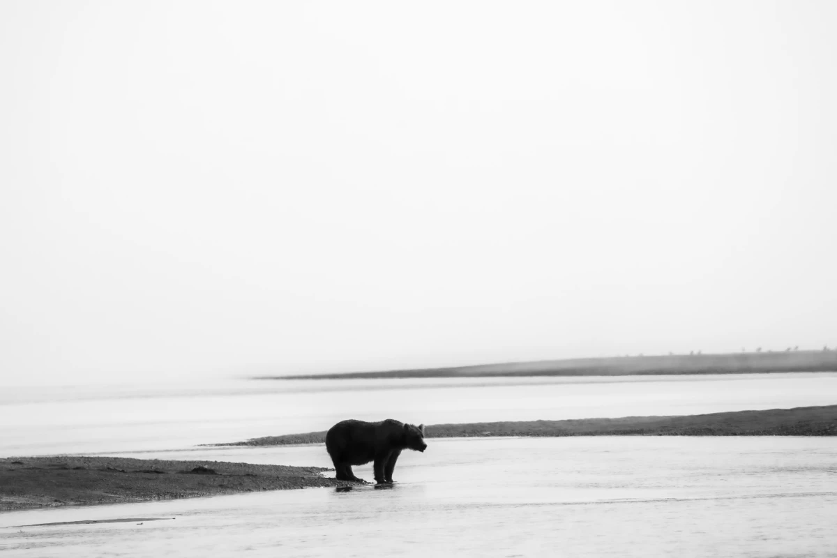 Khai Lee | The Independent Photographer