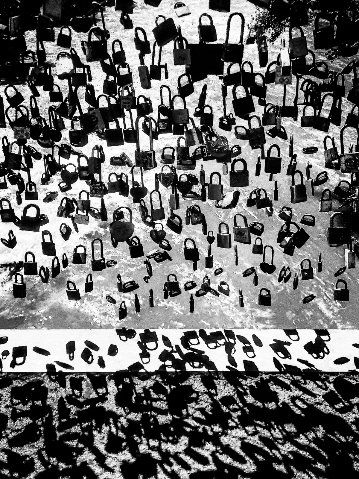 Josip Miskovic | The Independent Photographer