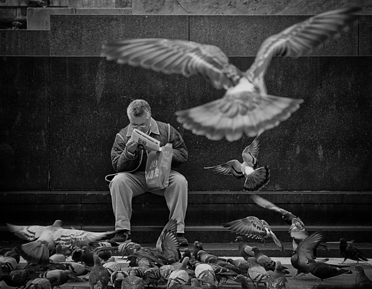 Rafael Angelo Almeida | The Independent Photographer