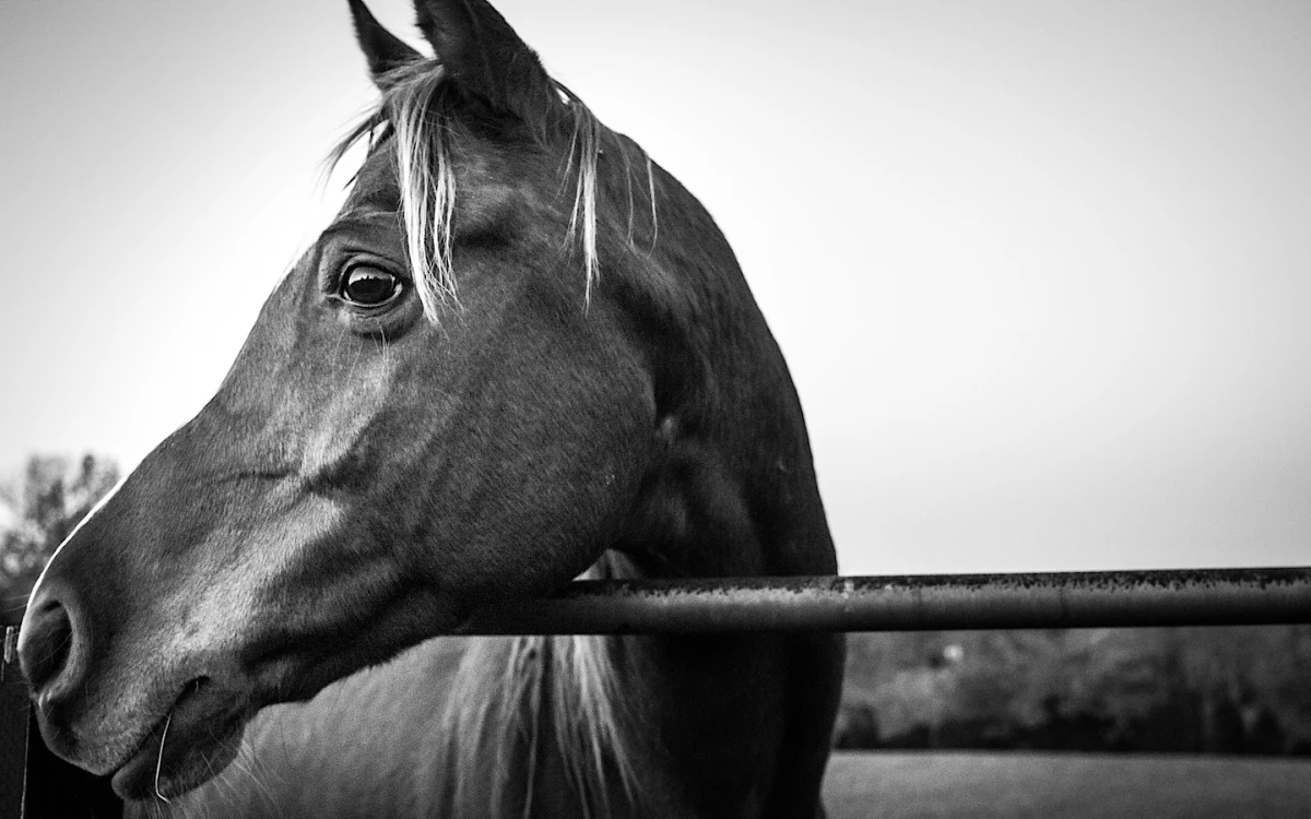 James Neat | The Independent Photographer