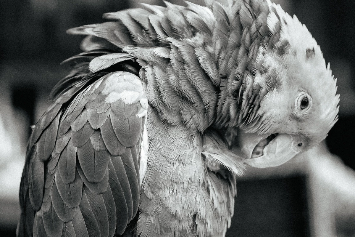 James Neat | The Independent Photographer