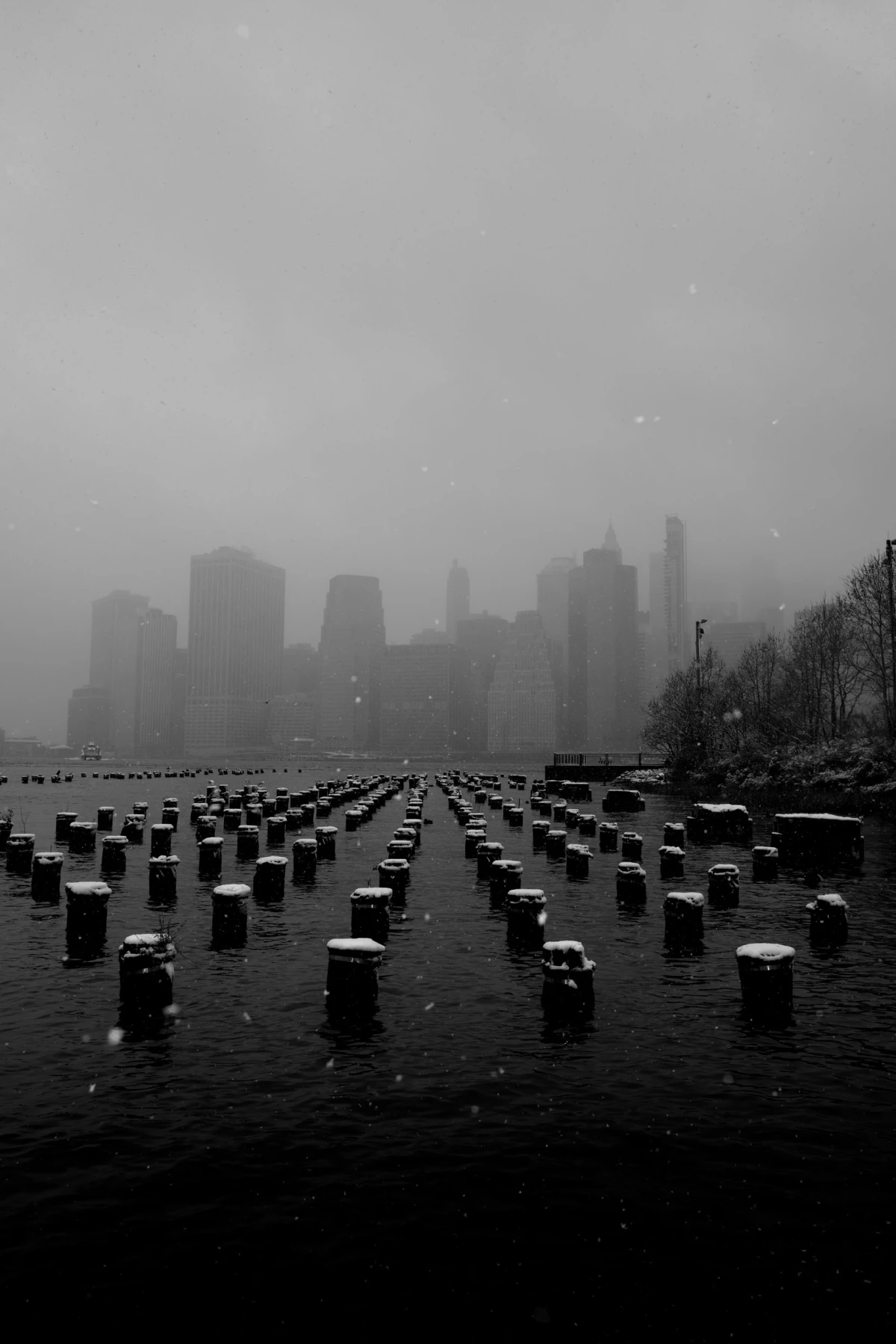 Adam Whittaker | The Independent Photographer