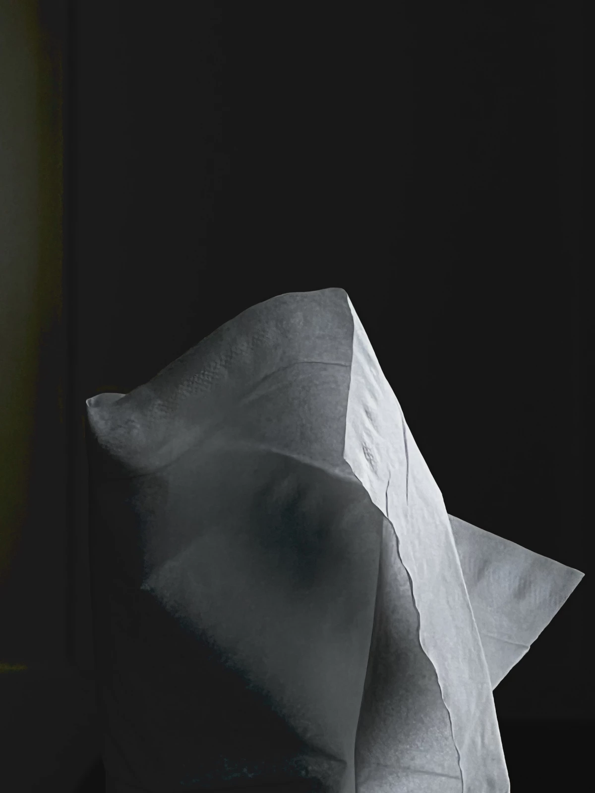 Robert Adler | The Independent Photographer