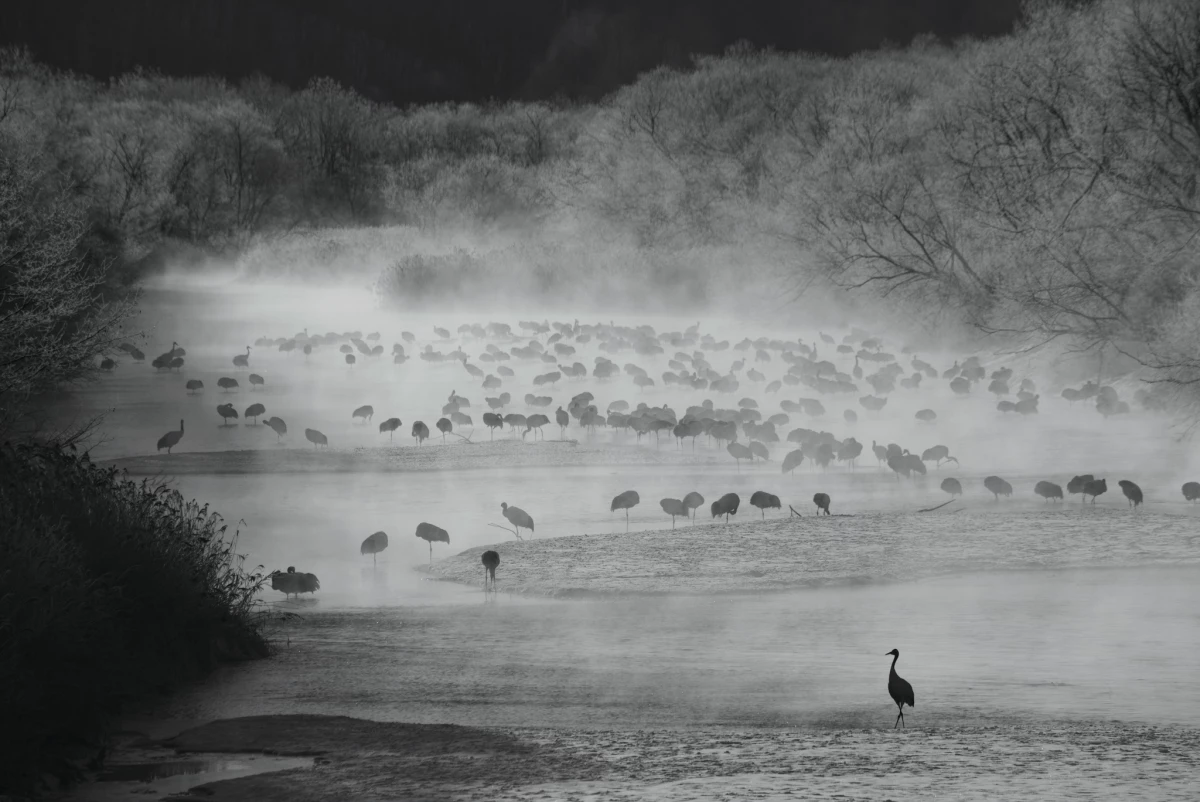 Pavel Oskin | The Independent Photographer