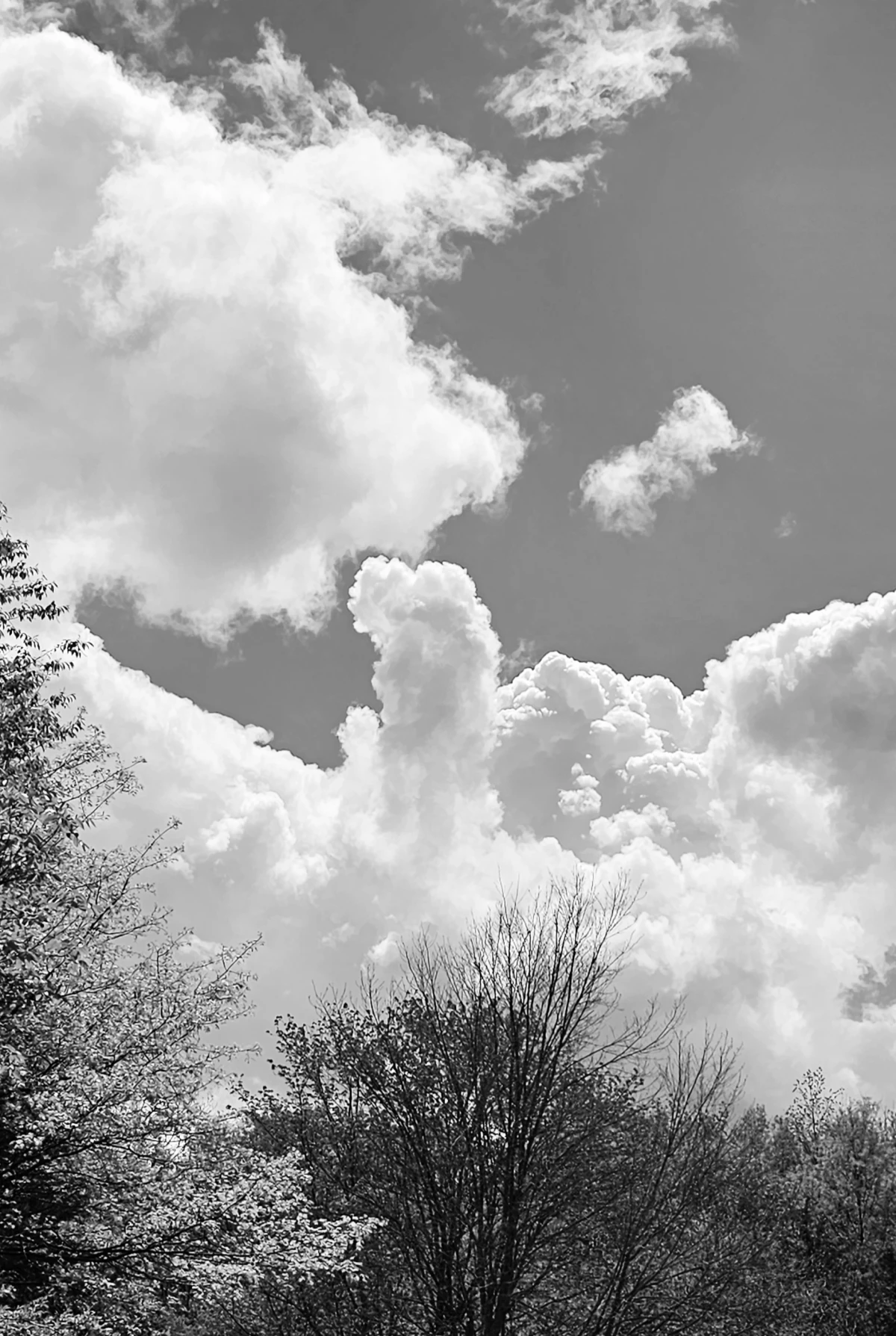 Rachel Pinsky | The Independent Photographer