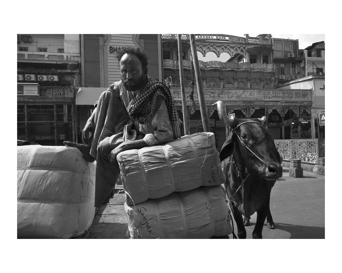 David Stoltz | The Independent Photographer