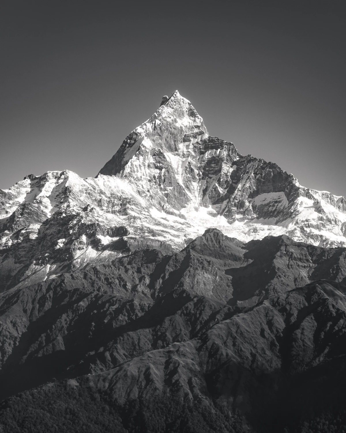 Alex Webb | The Independent Photographer