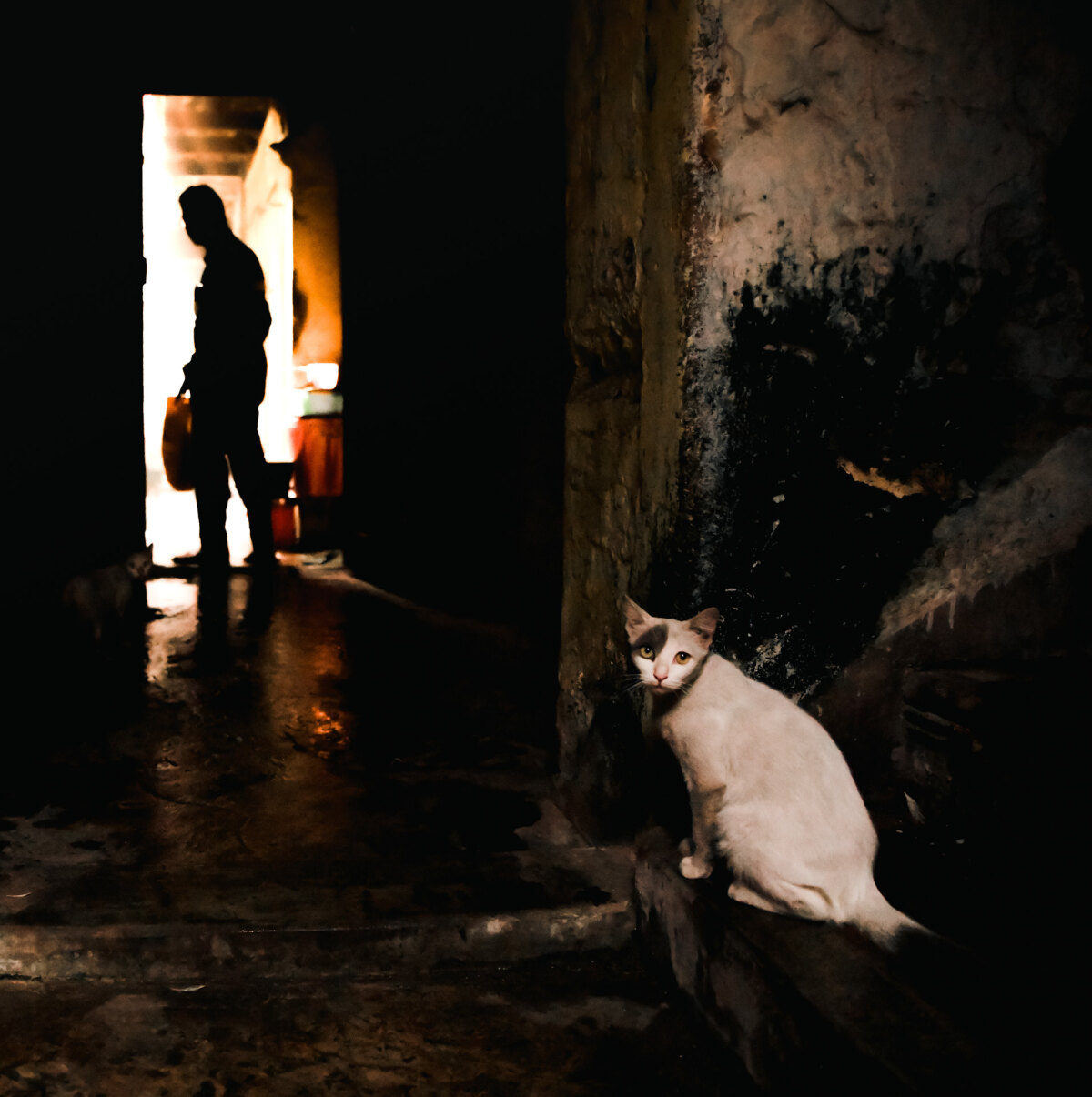 Arpit Mehrotra | The Independent Photographer