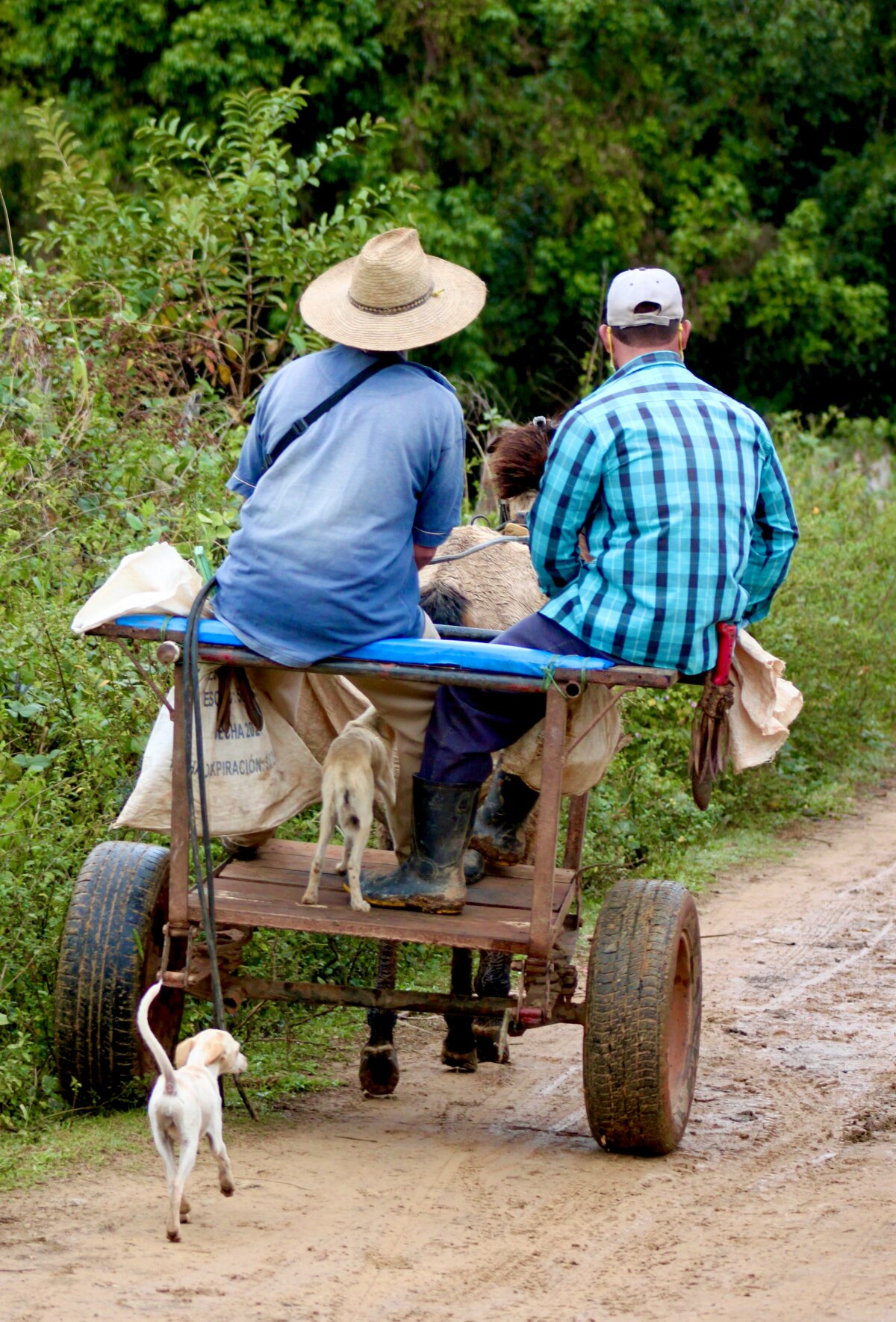 Chloe Kramer-Baldwin | The Independent Photographer