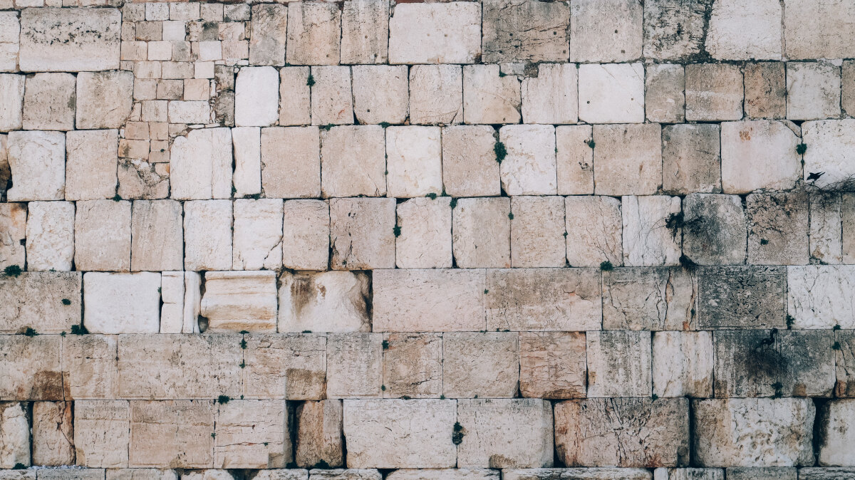 Juliet Lippman | The Independent Photographer