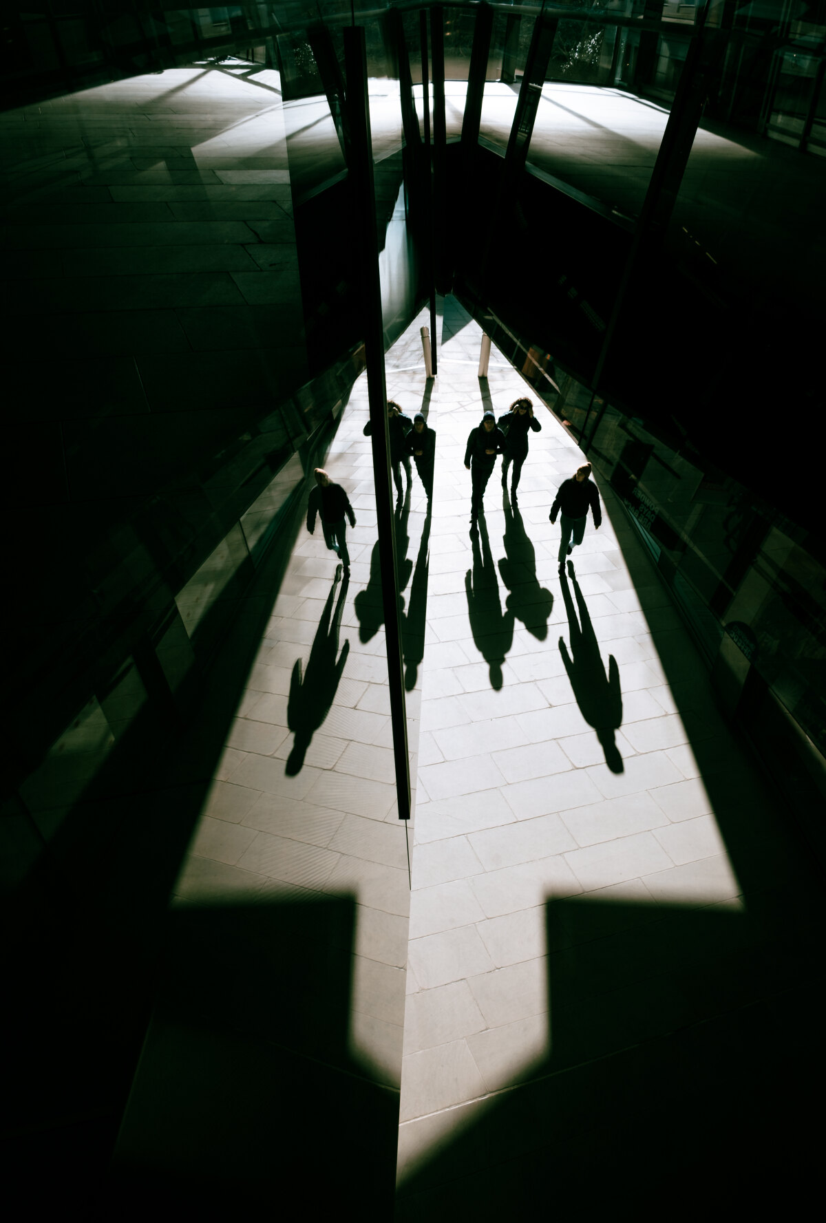 David Rosen | The Independent Photographer