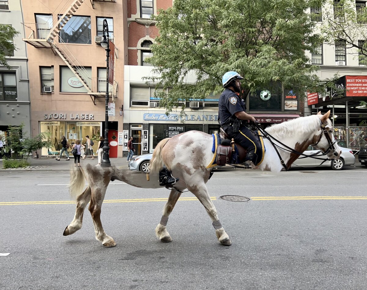 Raymond Testa | The Independent Photographer