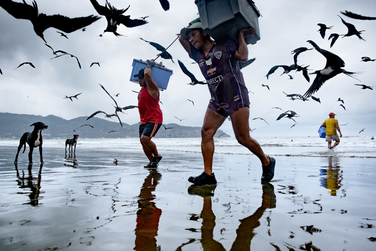 Nicolas Castermans | The Independent Photographer