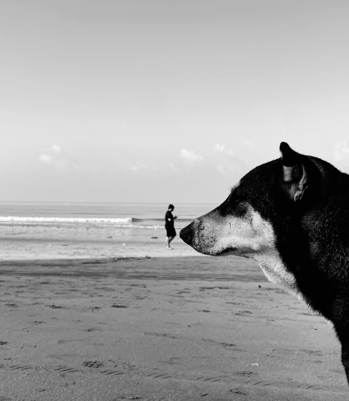 Souvik Roy | The Independent Photographer