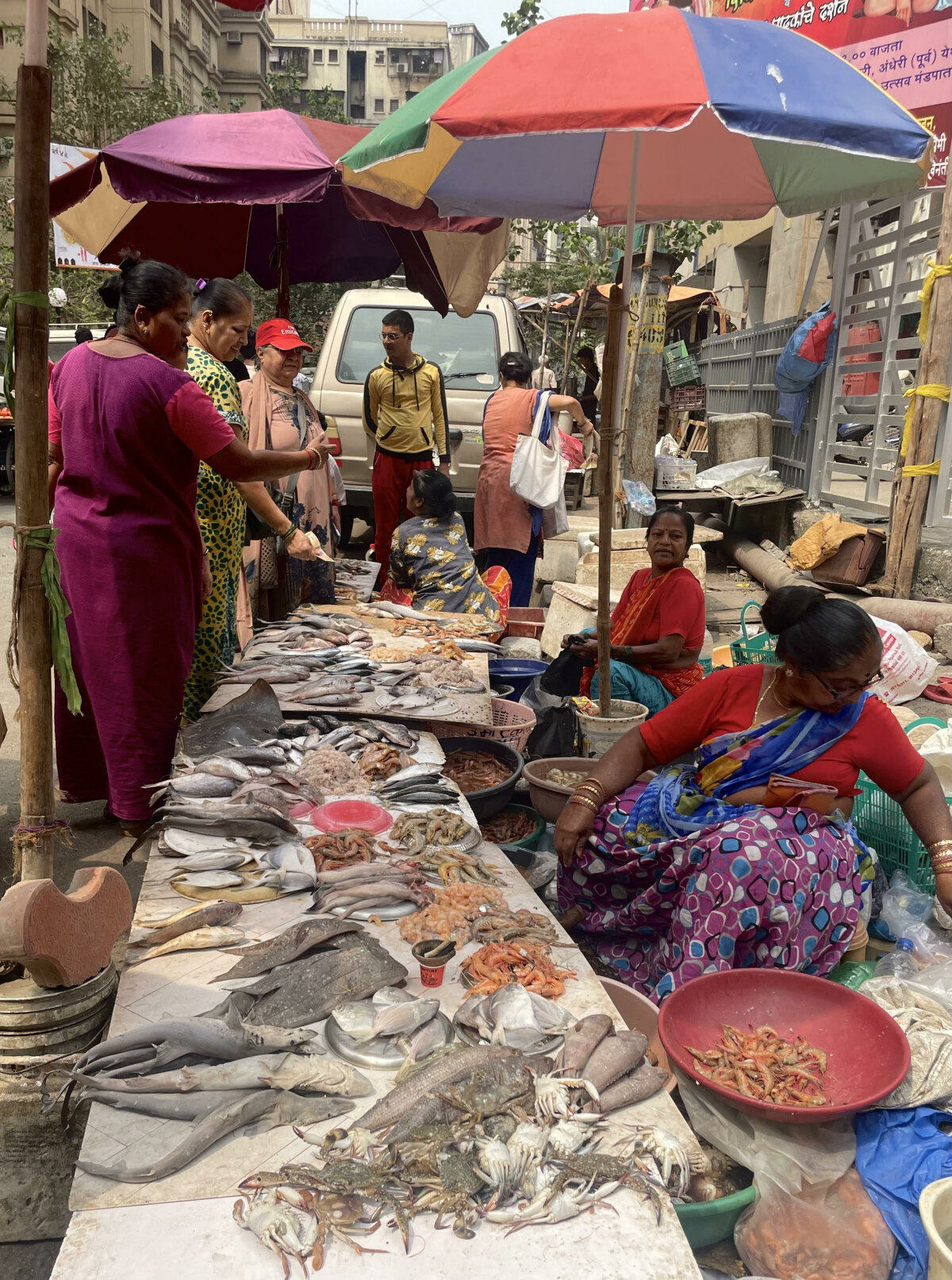 Souvik Roy | The Independent Photographer