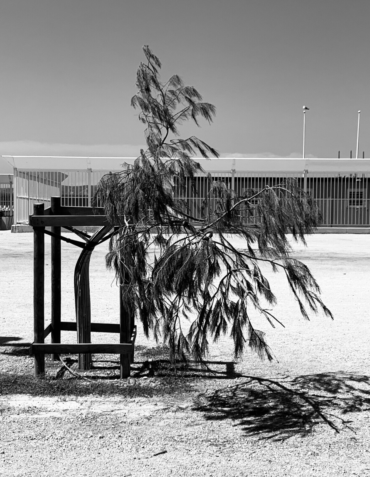 Benjamin Scharf | The Independent Photographer