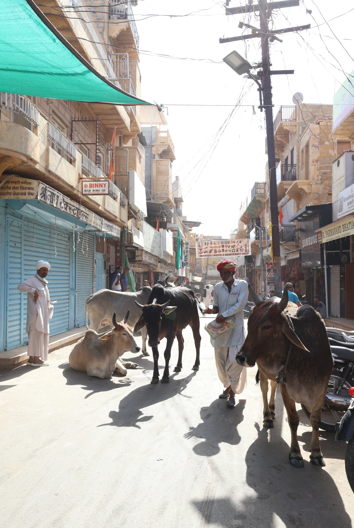 Camille Burkhart | The Independent Photographer