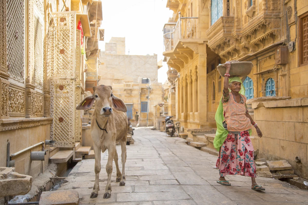 Beth Wild | The Independent Photographer