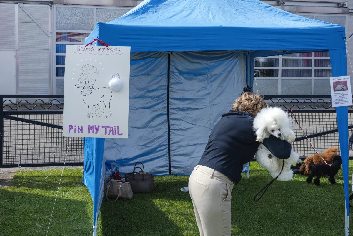 Andrew Shaylor | The Independent Photographer