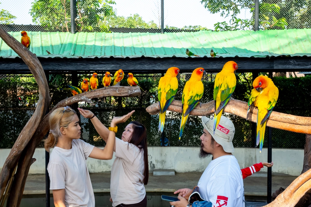 Dechrit Koparames | The Independent Photographer