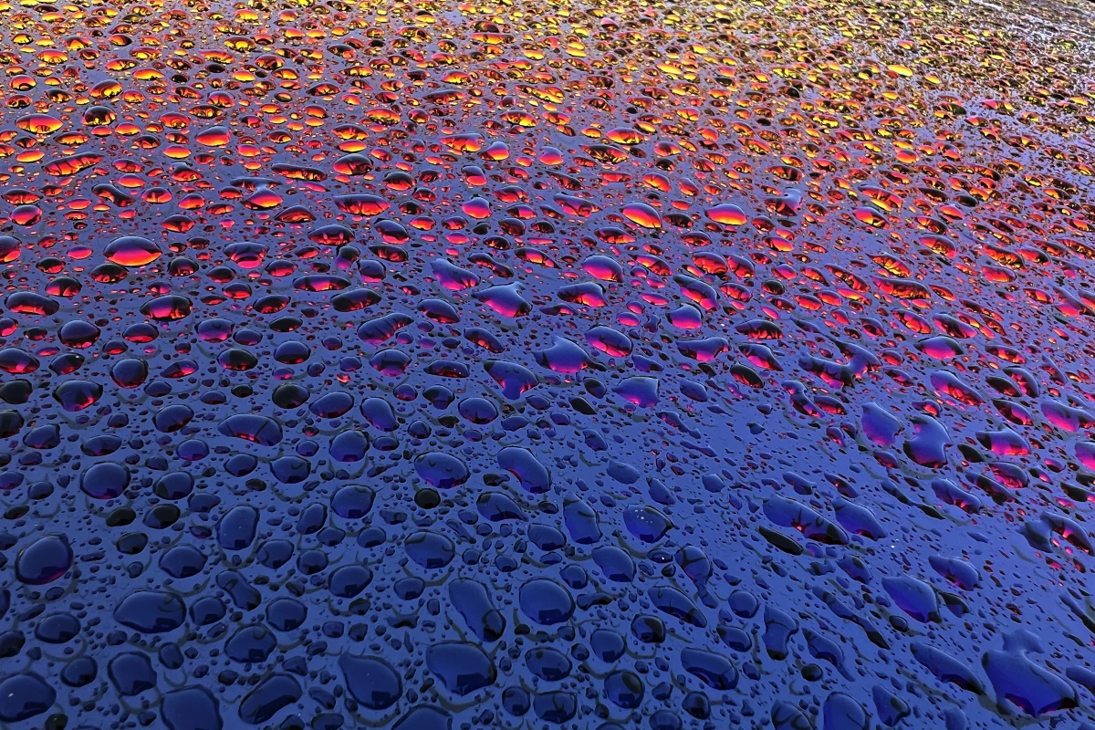 Brian Nicholson | The Independent Photographer