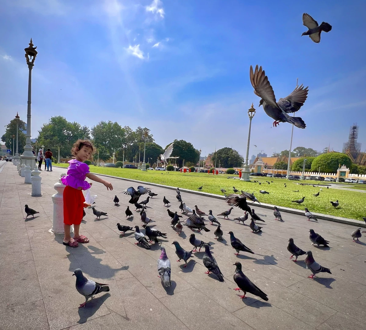 Brian Nicholson | The Independent Photographer