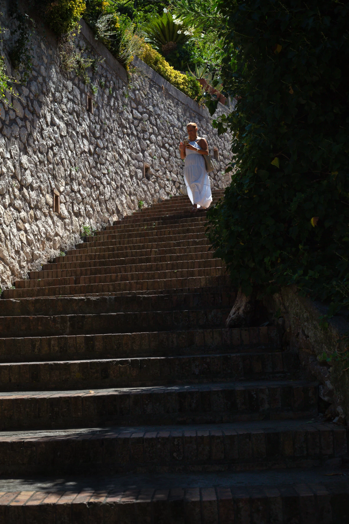 Christopher Rose | The Independent Photographer