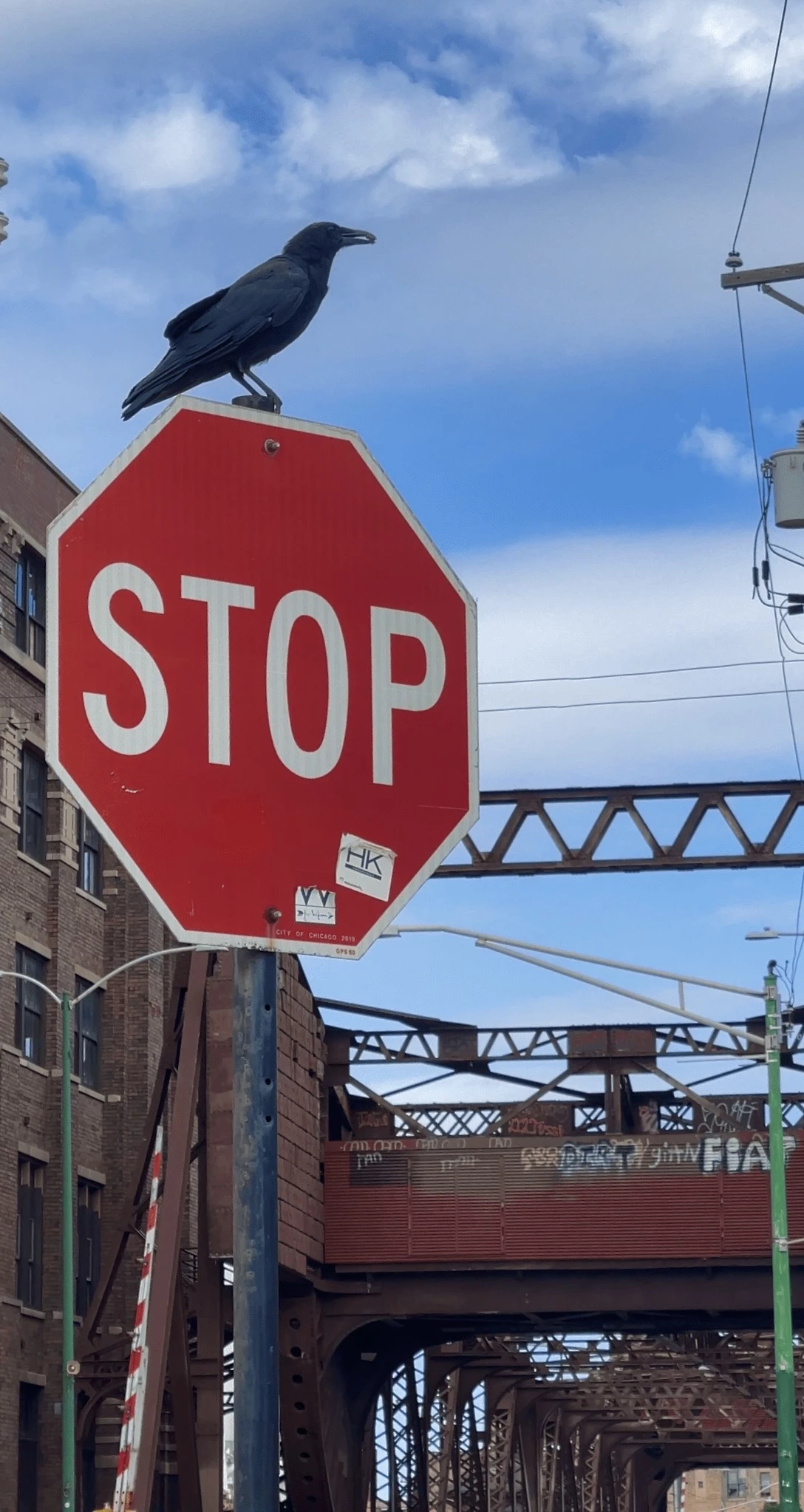 Gino Vanaria | The Independent Photographer