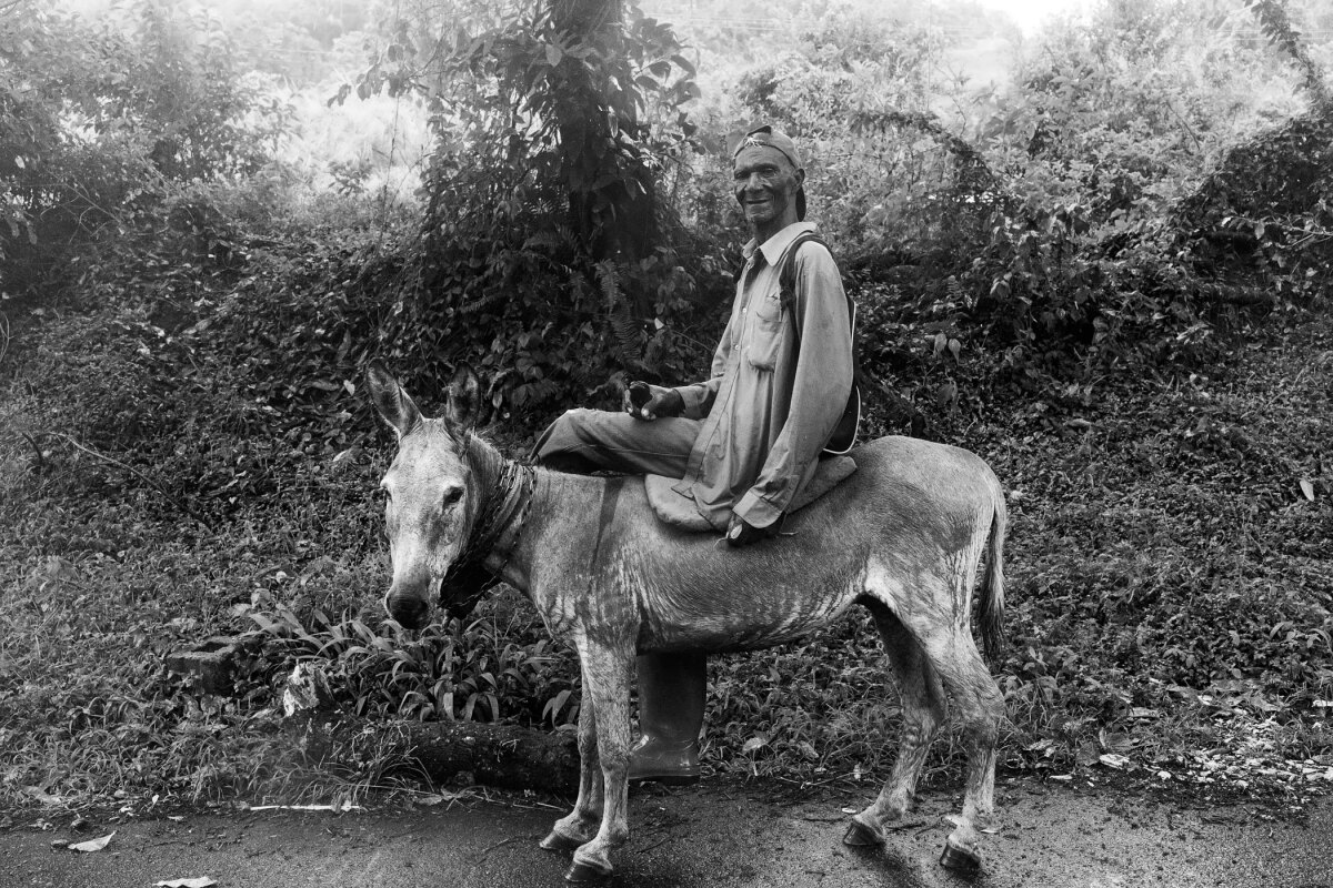 Damien Jackson | The Independent Photographer