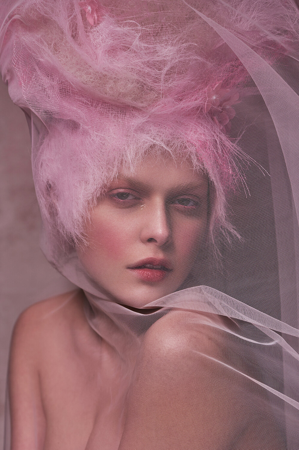 Paula Watts | The Independent Photographer