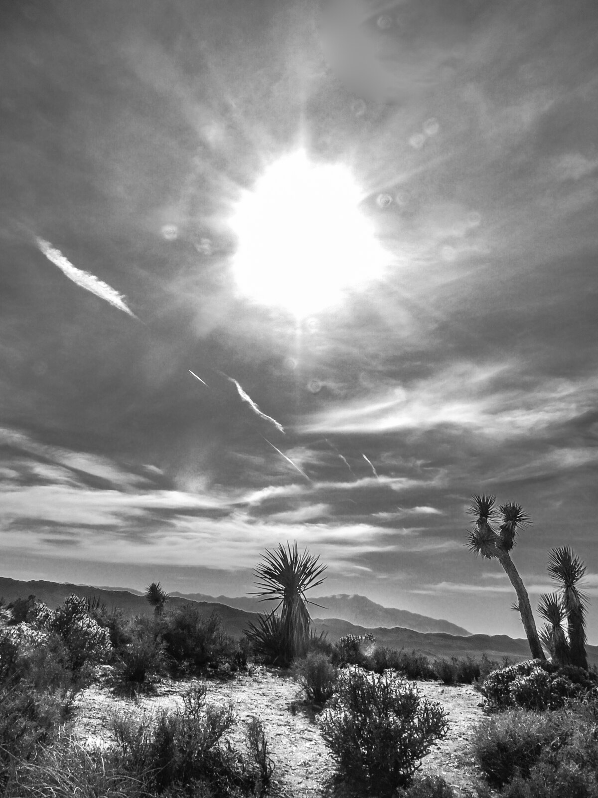 Anthony Somkin | The Independent Photographer