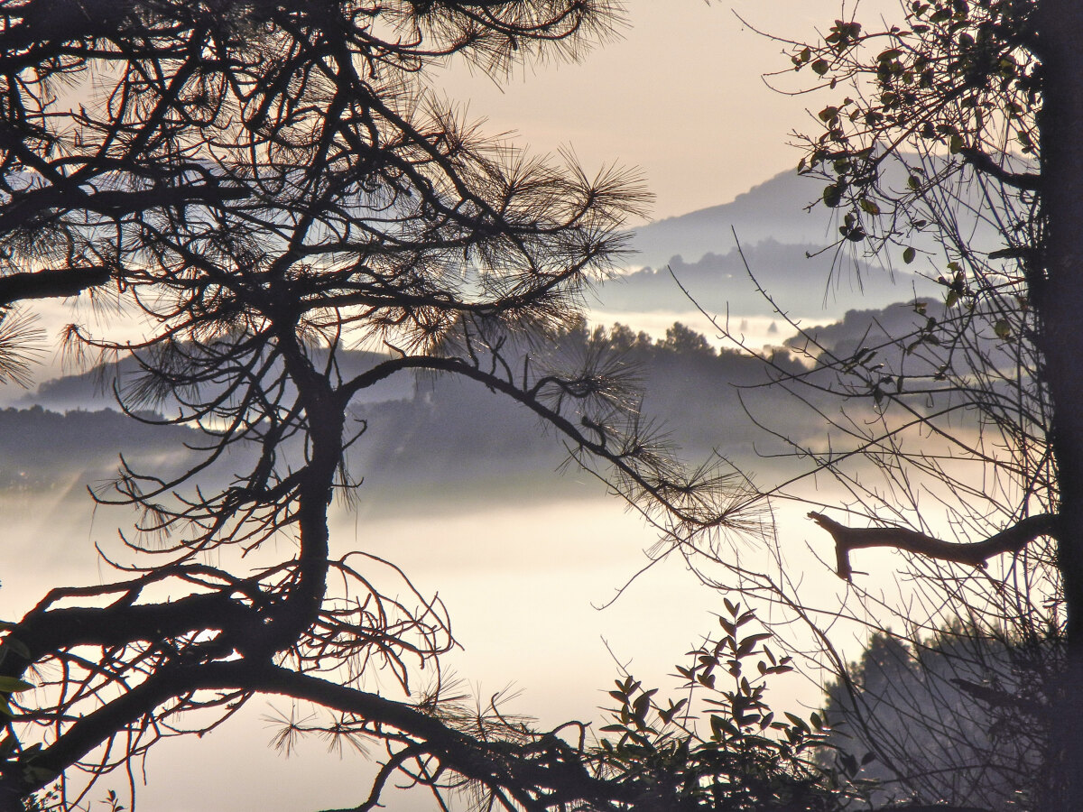 Anthony Somkin | The Independent Photographer