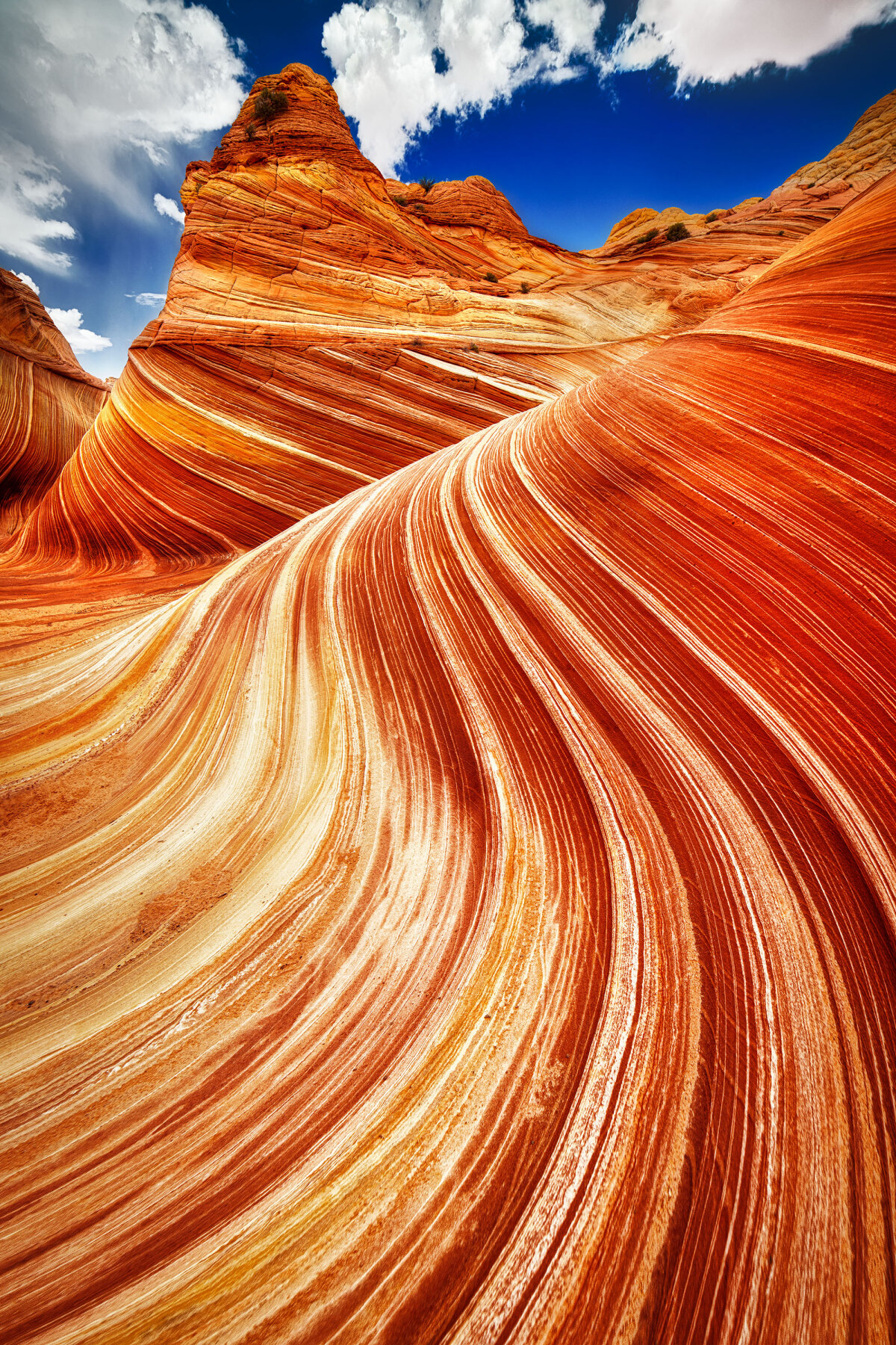 Craig Bill | The Independent Photographer